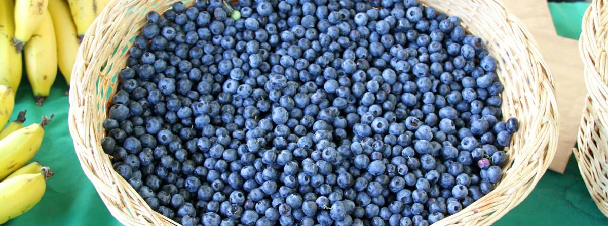 Acai, le bacche della salute: proprietà benefiche e uso