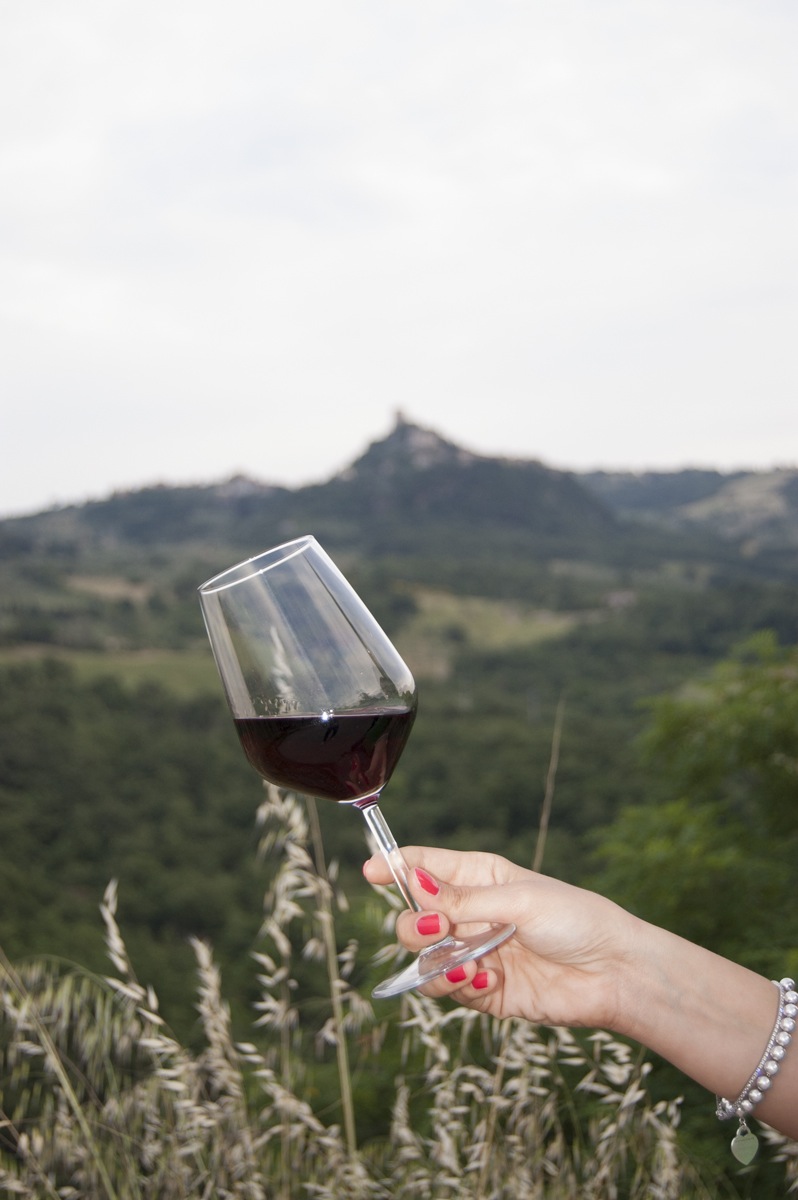 Con un calice di vino e il naso all'ins