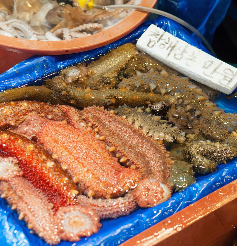 Cetrioli di mare, ricette e curiosità sulle oloturie