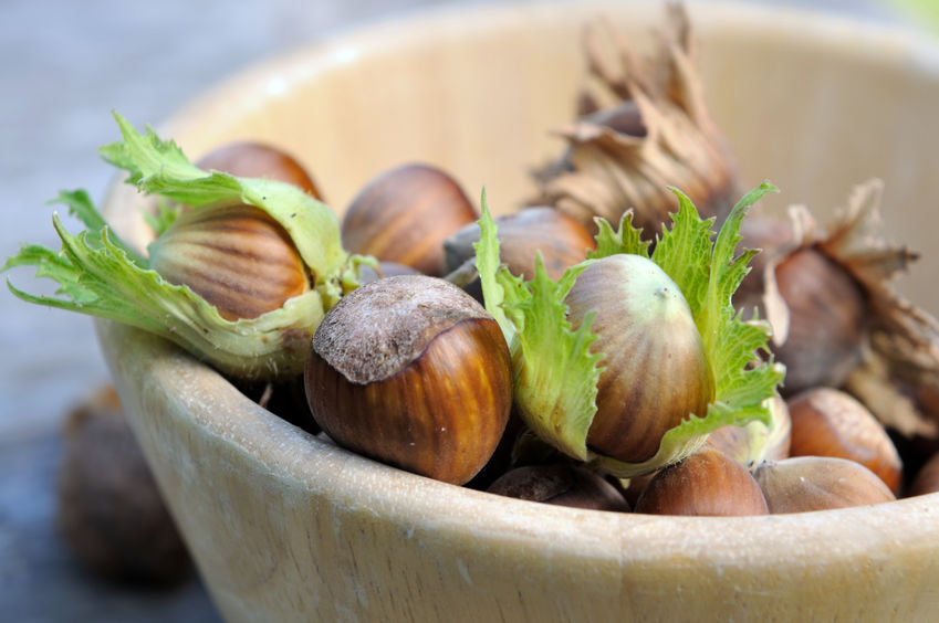 Nocciole Piemonte Igp