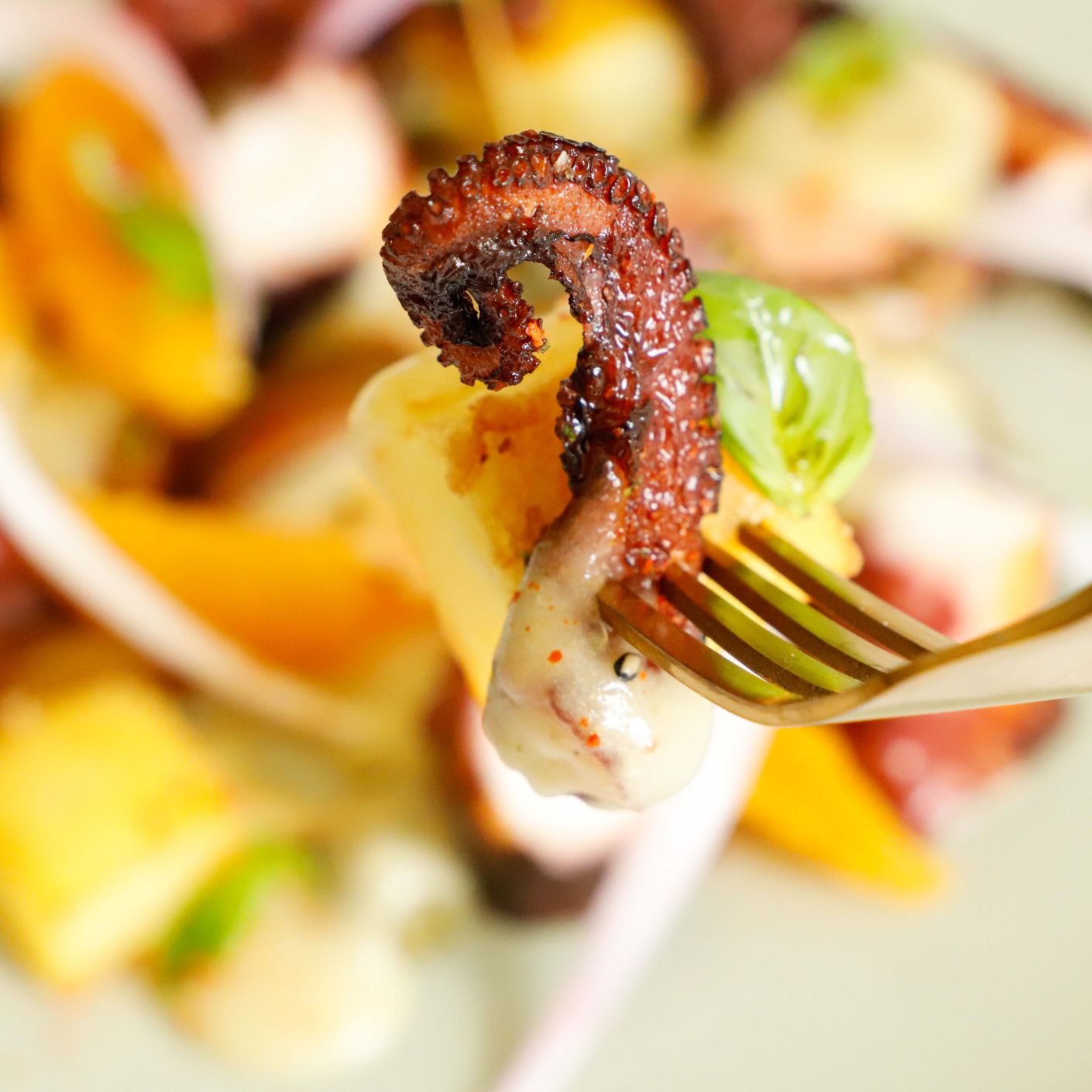 Polpo alla catalana, una ricetta tipica rivisitata