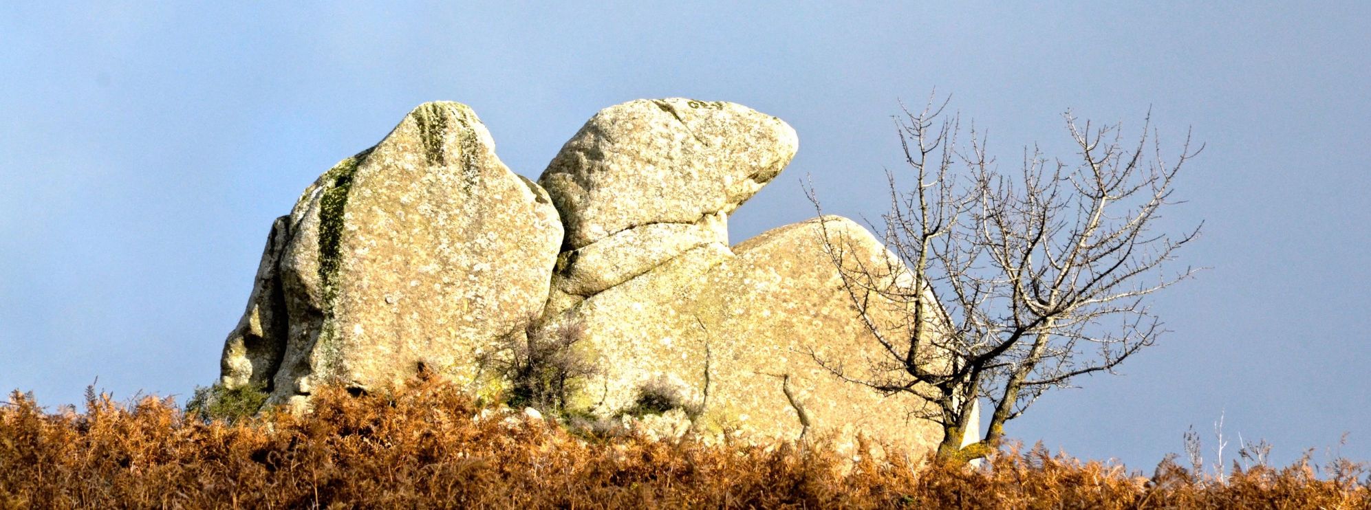 Altopiano dell'Argimusco, la Stonehenge siciliana